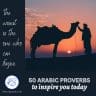 50 Arabic proverbs to inspire you today - Roy Sutton