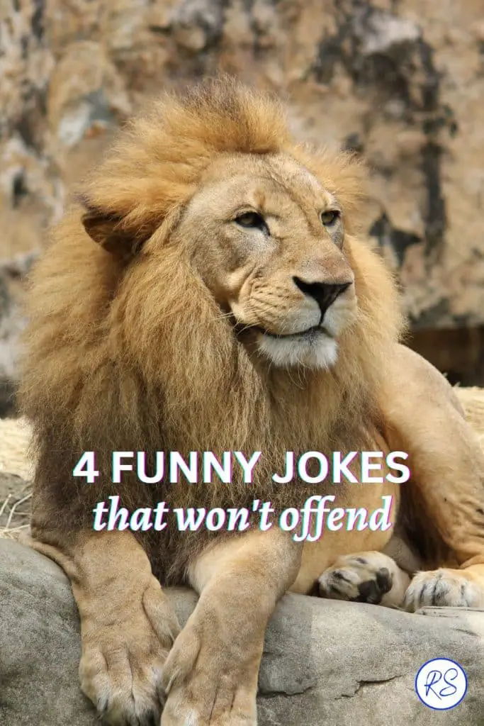 4 funny jokes that won't offend but will amuse you - Roy Sutton