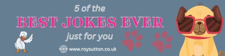 5 of the best jokes ever just for you - Roy Sutton
