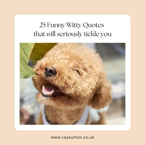 25 funny witty quotes that will seriously tickle you - Roy Sutton