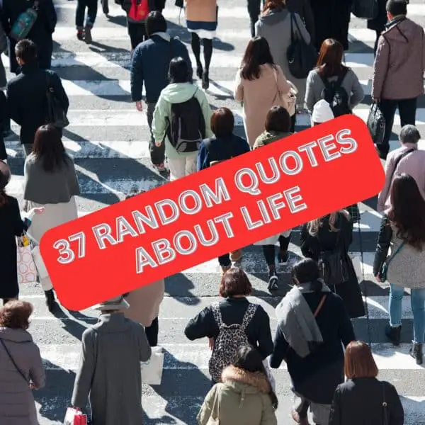 37 random quotes about life to get you thinking - Roy Sutton