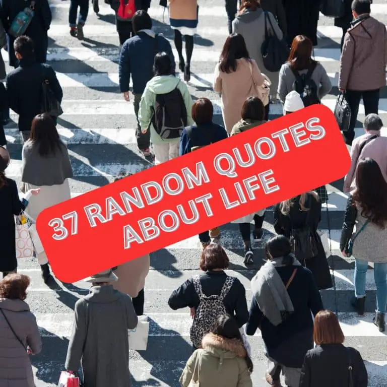 37 random quotes about life to get you thinking - Roy Sutton