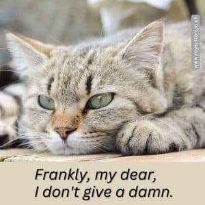 Witty One-Liners Archives - Roy Sutton