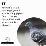 35 of the best one-liners ever. You'll love them all - Roy Sutton