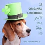 12 brilliant original Limericks written just for you - Roy Sutton