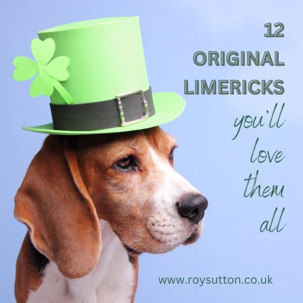12 brilliant original Limericks written just for you - Roy Sutton