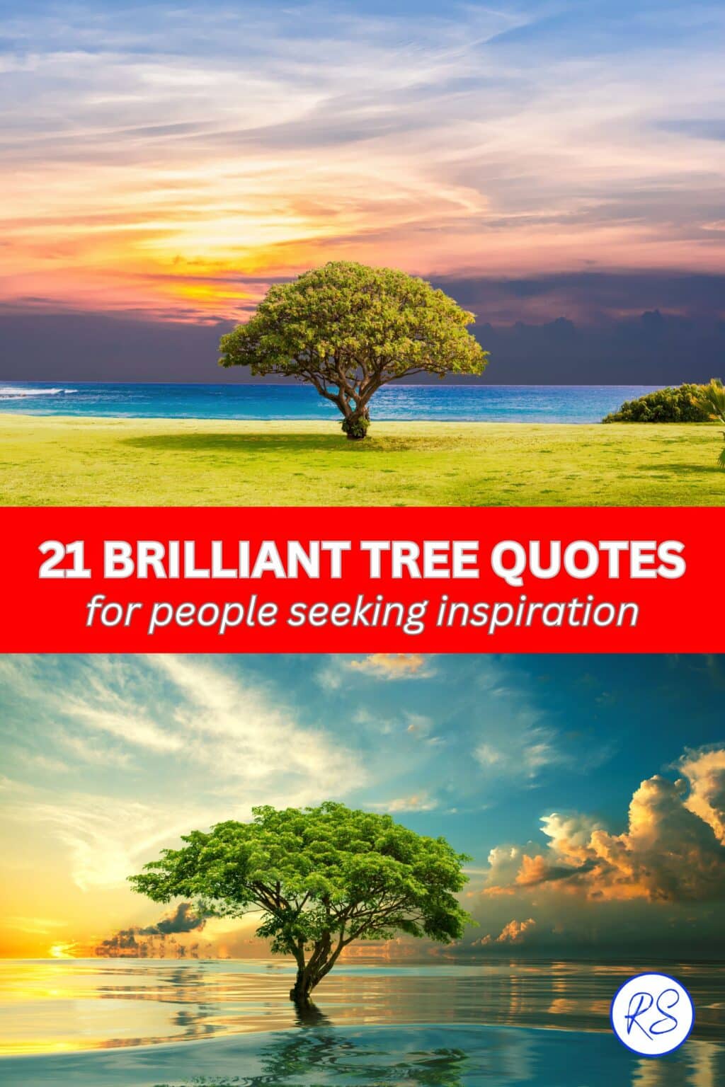 21 brilliant tree quotes for people seeking inspiration - Roy Sutton